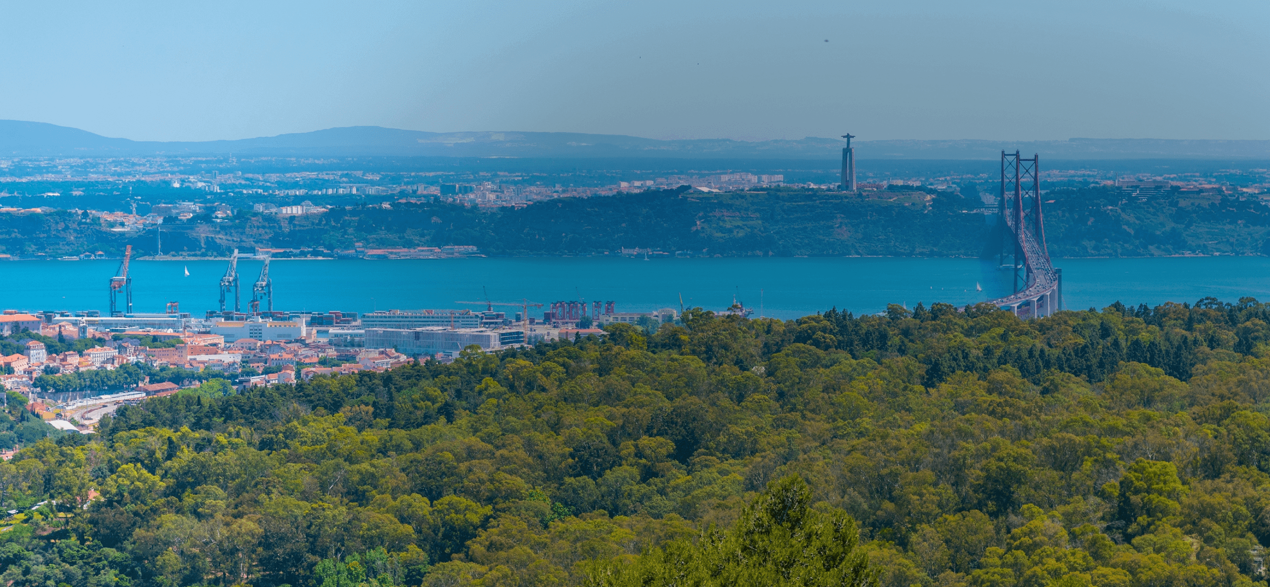 Monsanto: um dos grandes parques florestais do século XX - Florestas.pt