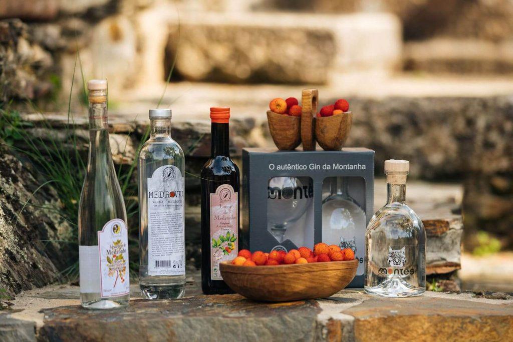 Medronho: tradição e novas formas de o saborear Florestas