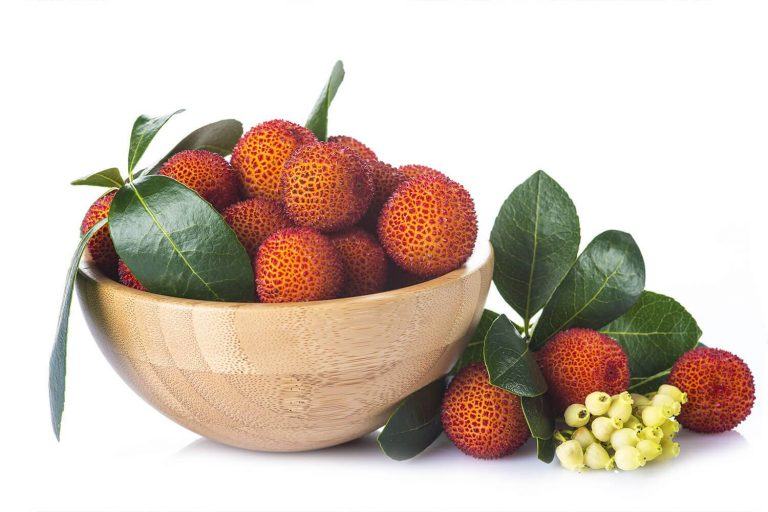 Medronho: tradição e novas formas de o saborear Florestas