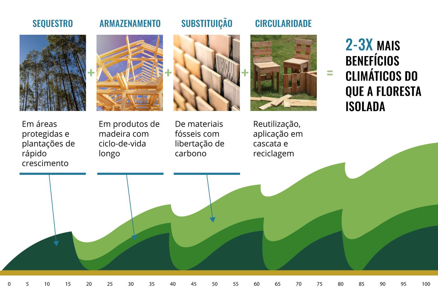 Produtos de madeira multiplicam carbono retido nas florestas Florestas