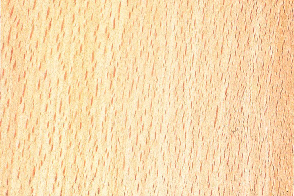 Propriedades e utilizações da madeira: exemplos em Portugal Florestas