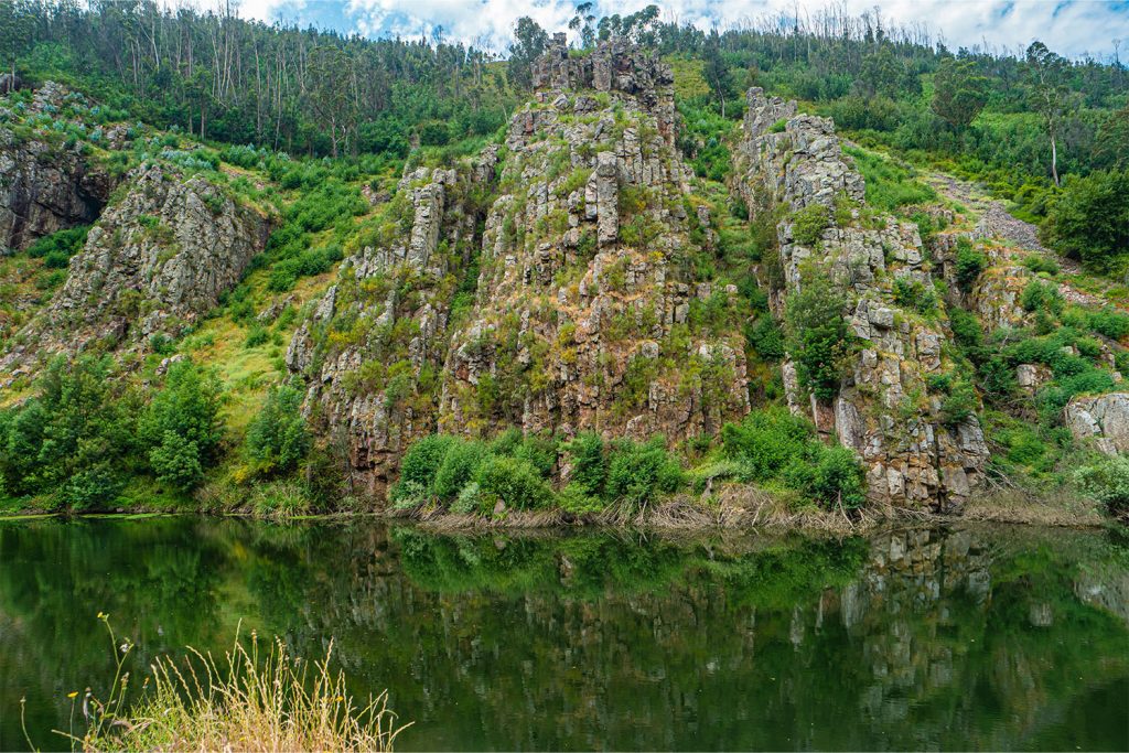 O que é um Monumento Natural e quantos temos em Portugal? Florestas