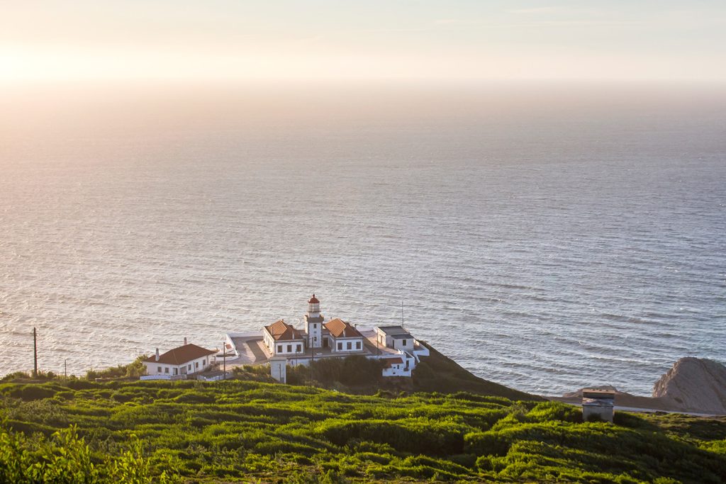 O que é um Monumento Natural e quantos temos em Portugal? Florestas